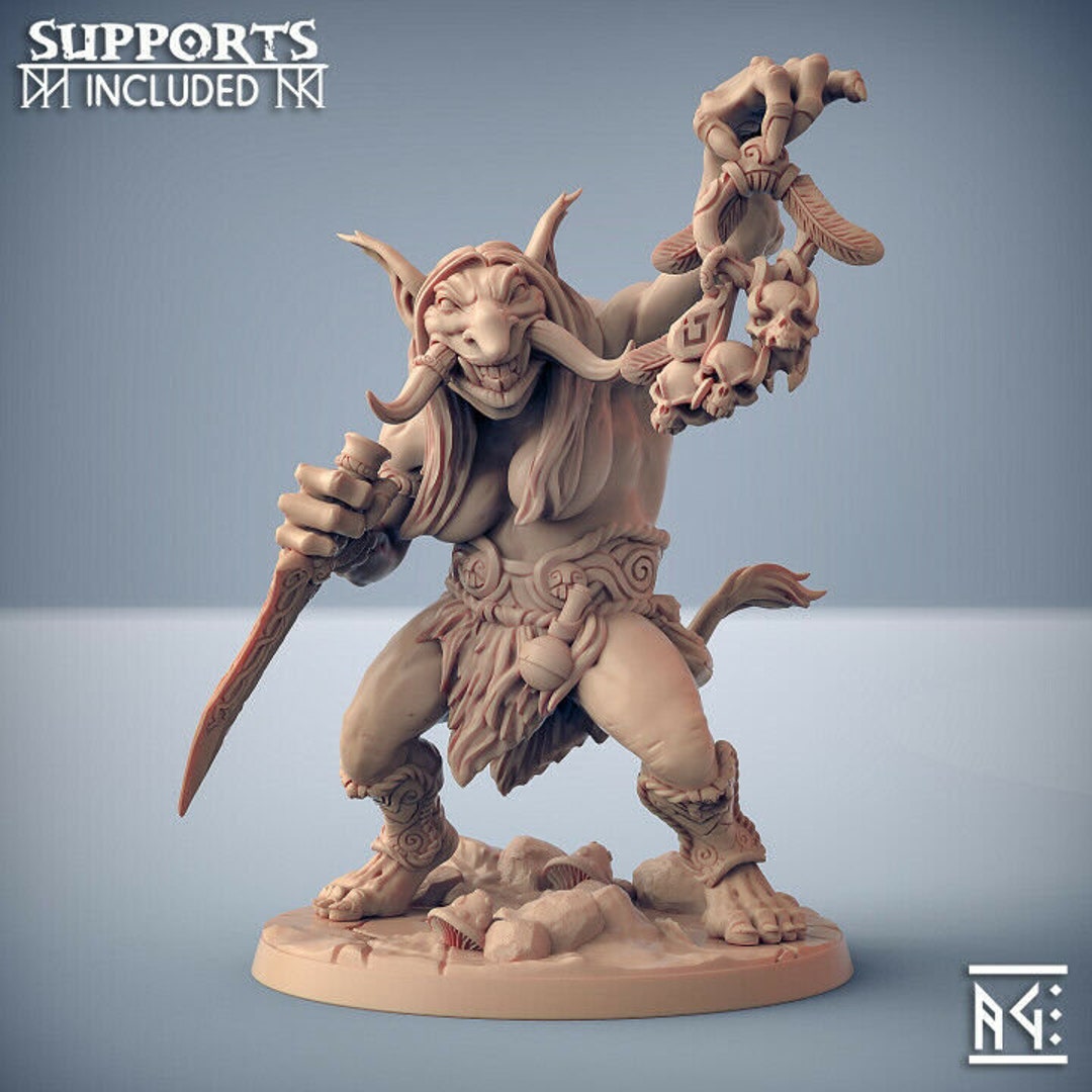 Troll Hag A - Rogue Shaman - Artisan Guild Fantasy Dungeons & Dragons ...