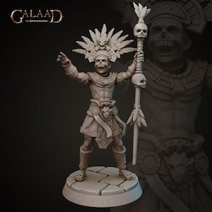 Aztec Shaman - Fighter / Druid - Galaad Miniatures - Dungeons and ...