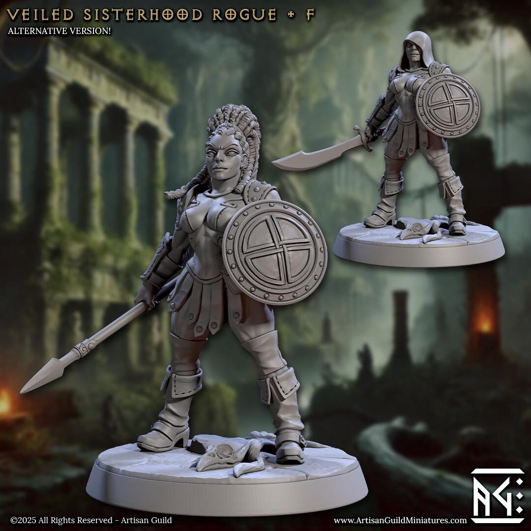 Sisterhood Rogue - Spear Sword Shield - Artisan Guild - Dungeons and ...