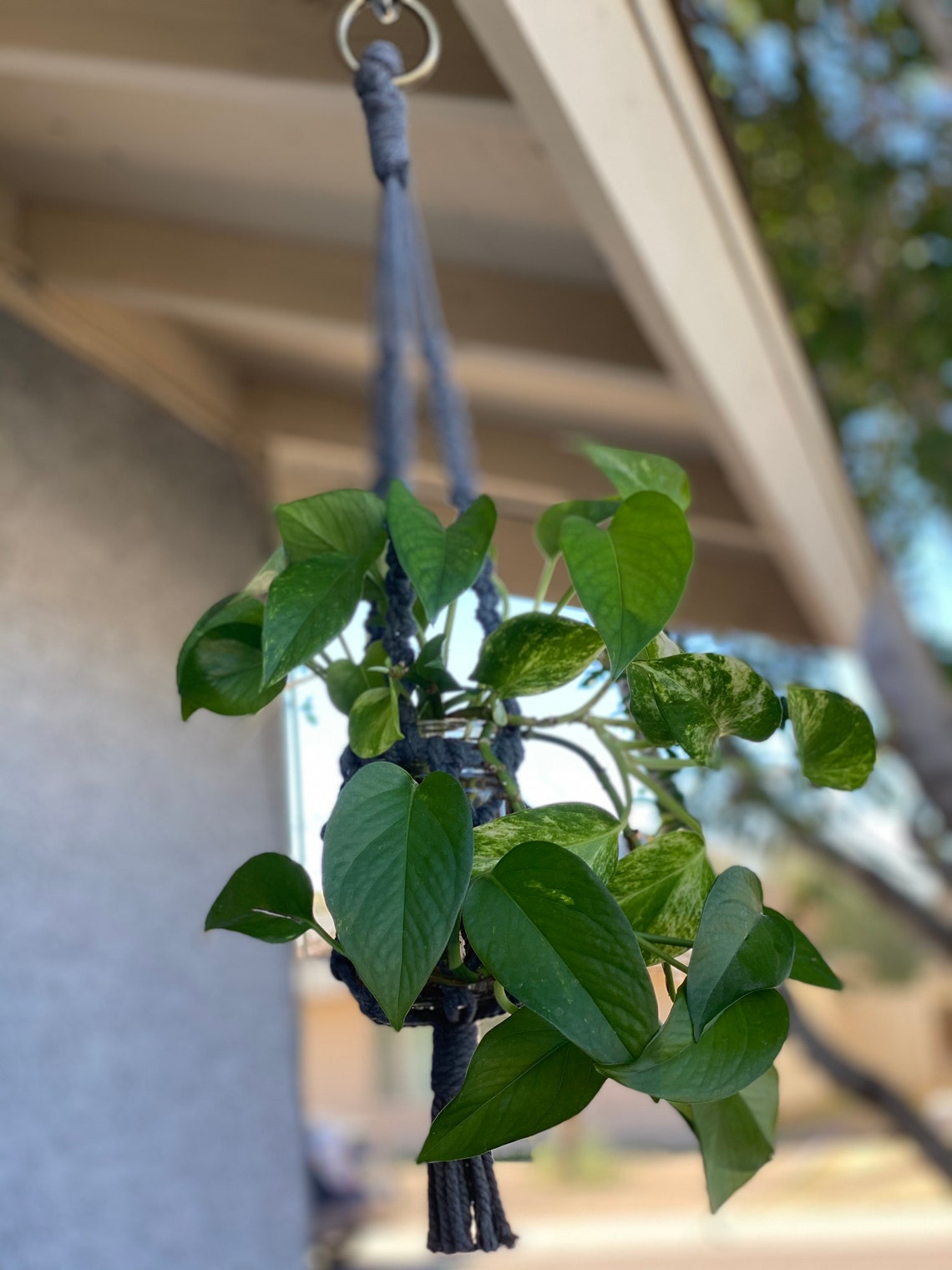 Gray Macrame Rooting Jar/bud Vase or Light Hanger - Etsy