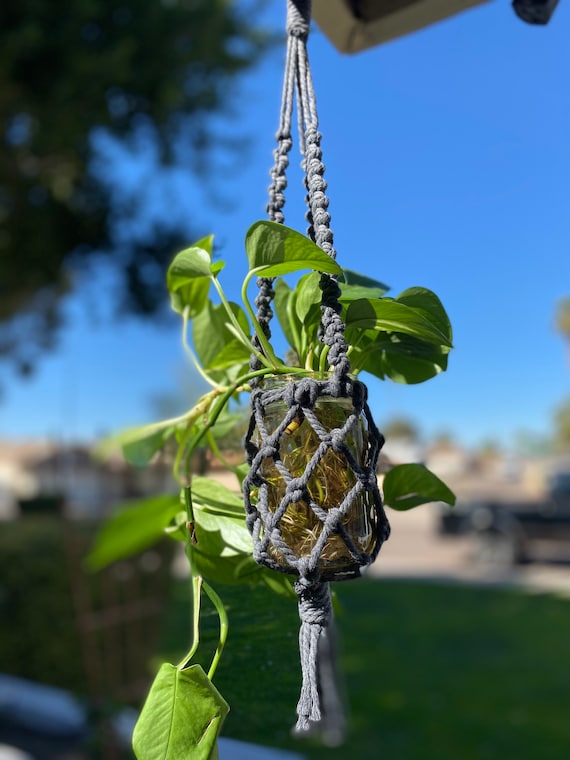 Gray macrame Rooting jar/bud vase or light hanger | Etsy