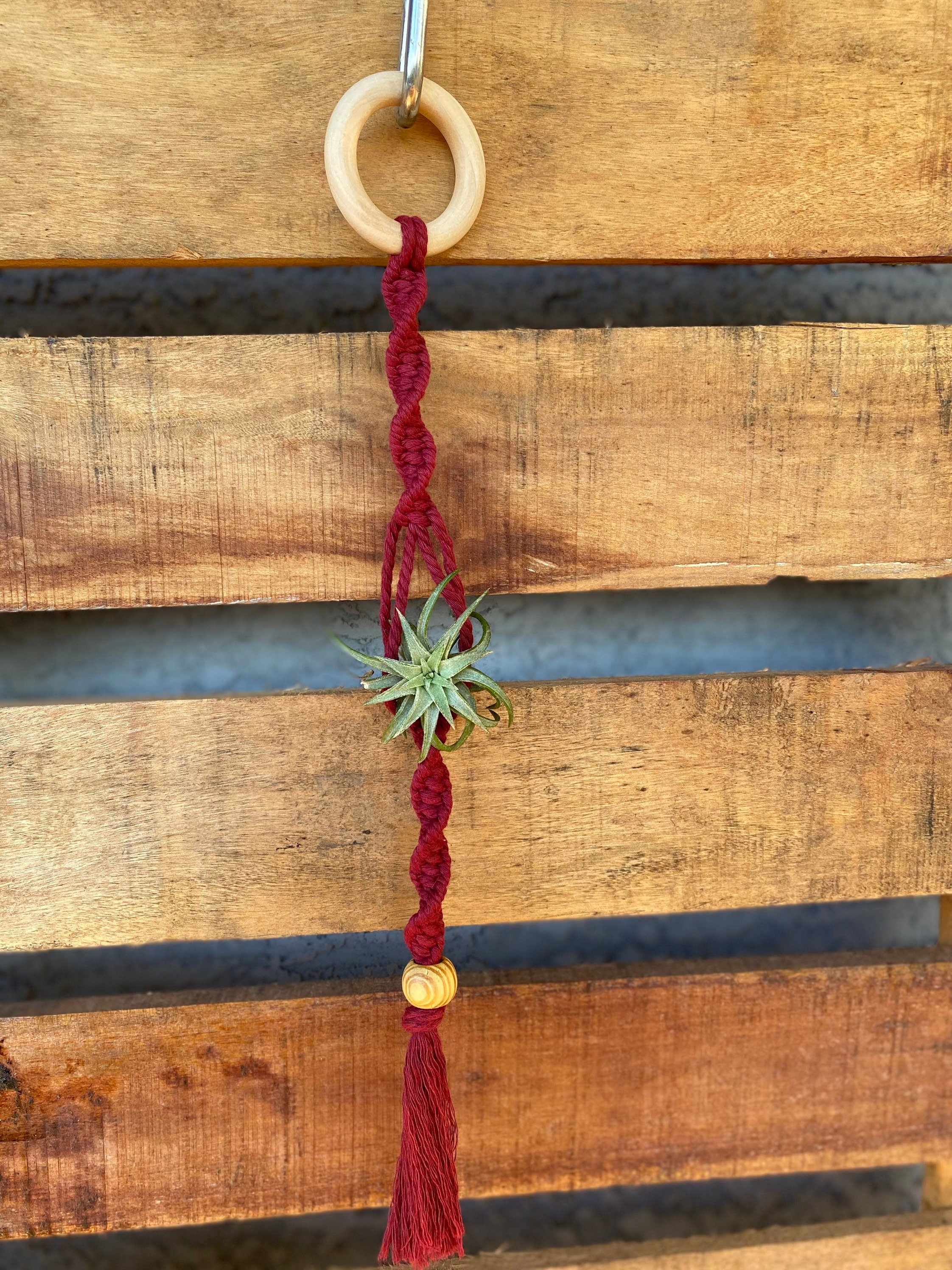 Spiral Macrame Air Plant Hanger - Etsy