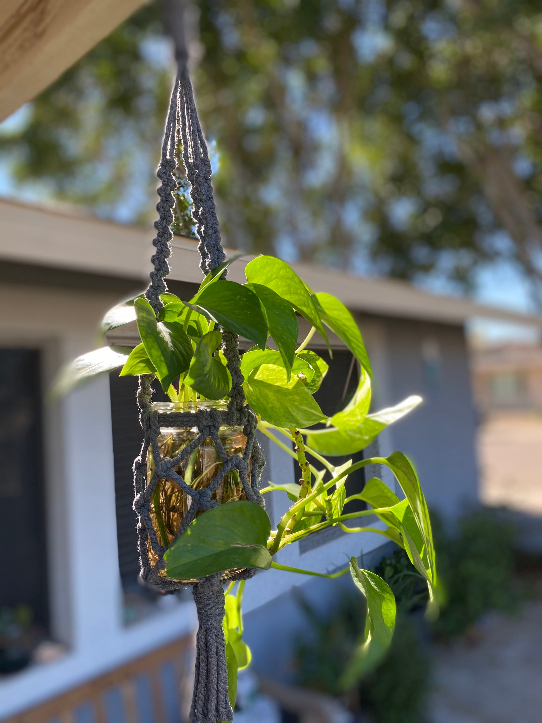 Gray Macrame Rooting Jar/bud Vase or Light Hanger - Etsy