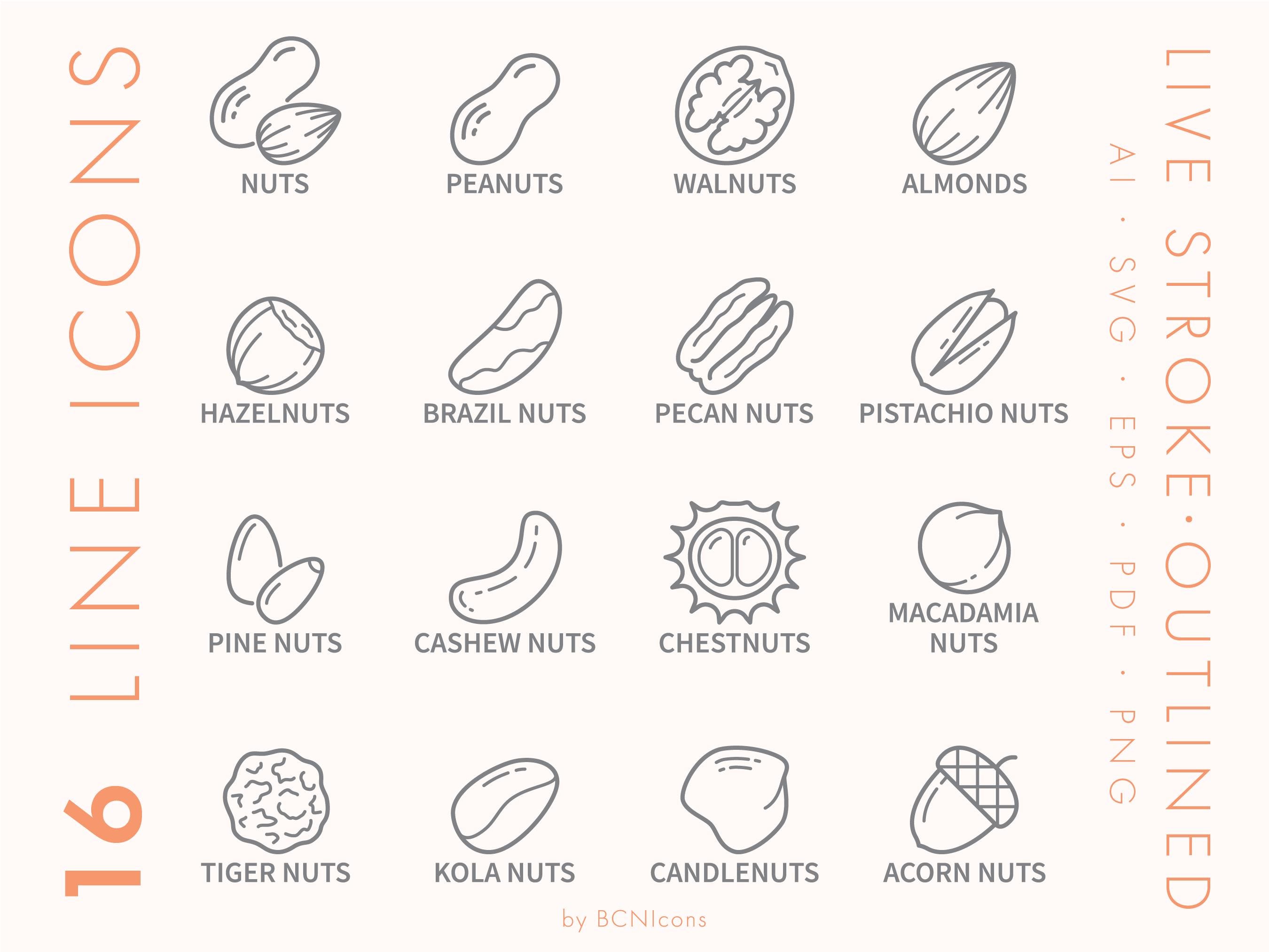 Nut Symbols Line Icons Pack SVG, Minimalist Type of Nuts Food ...