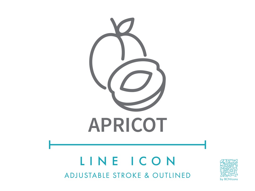 Apricot Fruit Fragrance Line Icon SVG, Apricot Flavor Food Clipart PNG ...