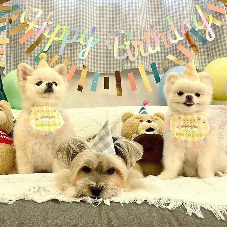 Dog Cat Birthday Party Decorations Cone/hat and Bandana Set - Etsy
