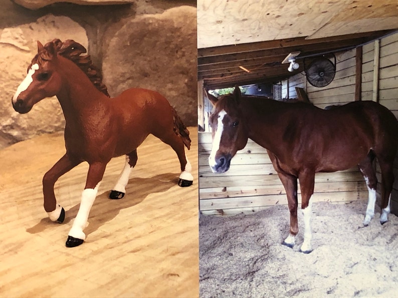 Realistic Schleich Custom Horse-to-model Repaints - Etsy