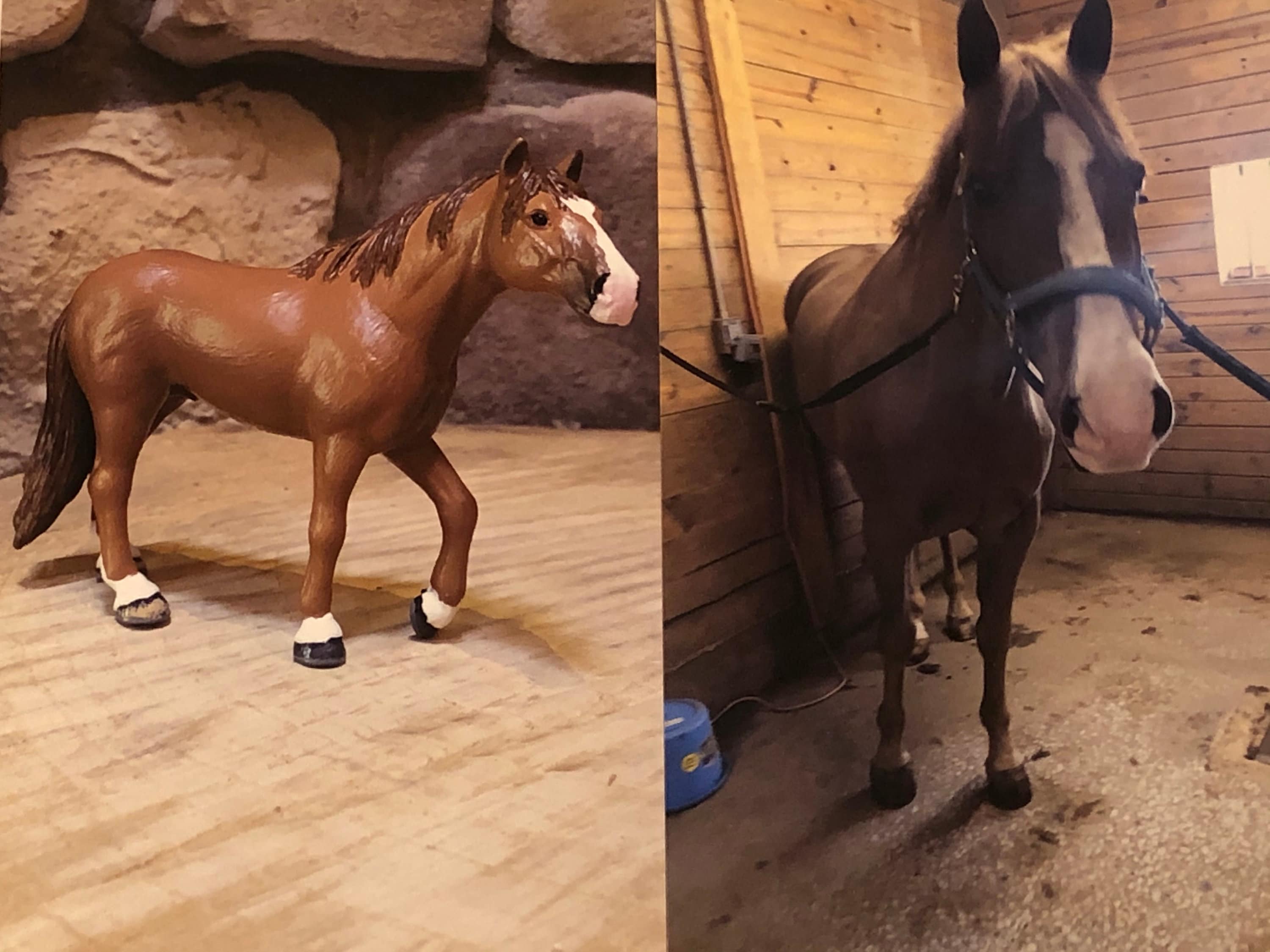 Realistic Schleich Custom Horse-to-model Repaints - Etsy