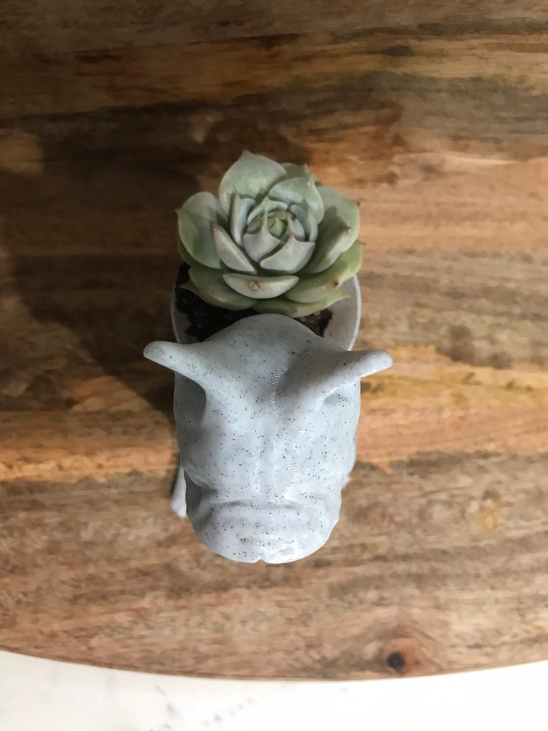 Frenchie Planter French Bulldog Pot NEW Unique Frenchie | Etsy
