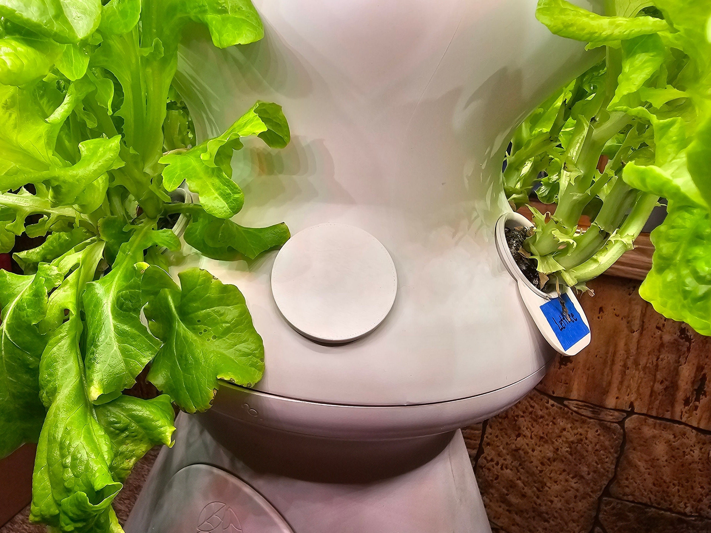 Lettuce Grow (LG Farmstand) Round Grow Cup Caps - Read Description ...