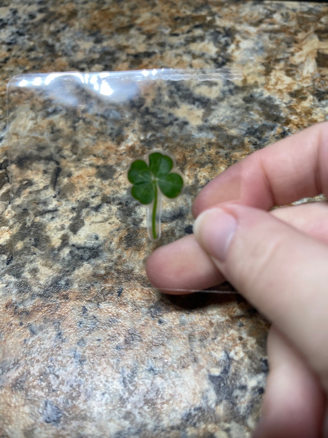 Real 4 Leaf Clover - Etsy
