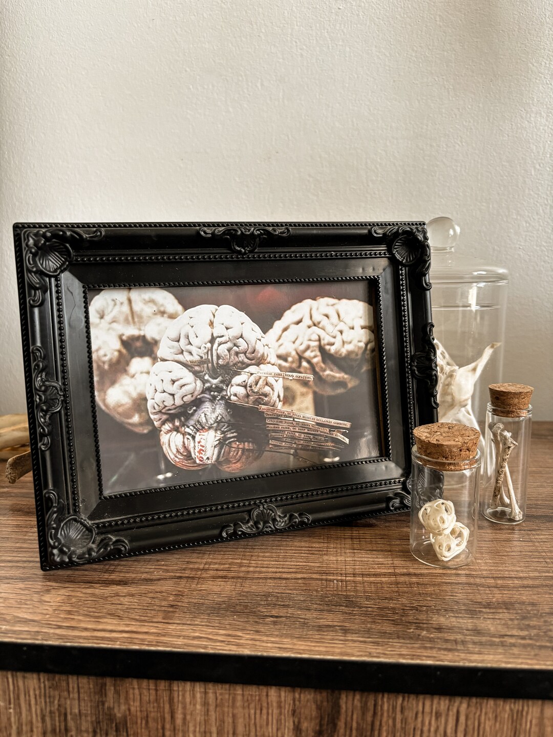 Brain Anatomy Photo Frame - Etsy