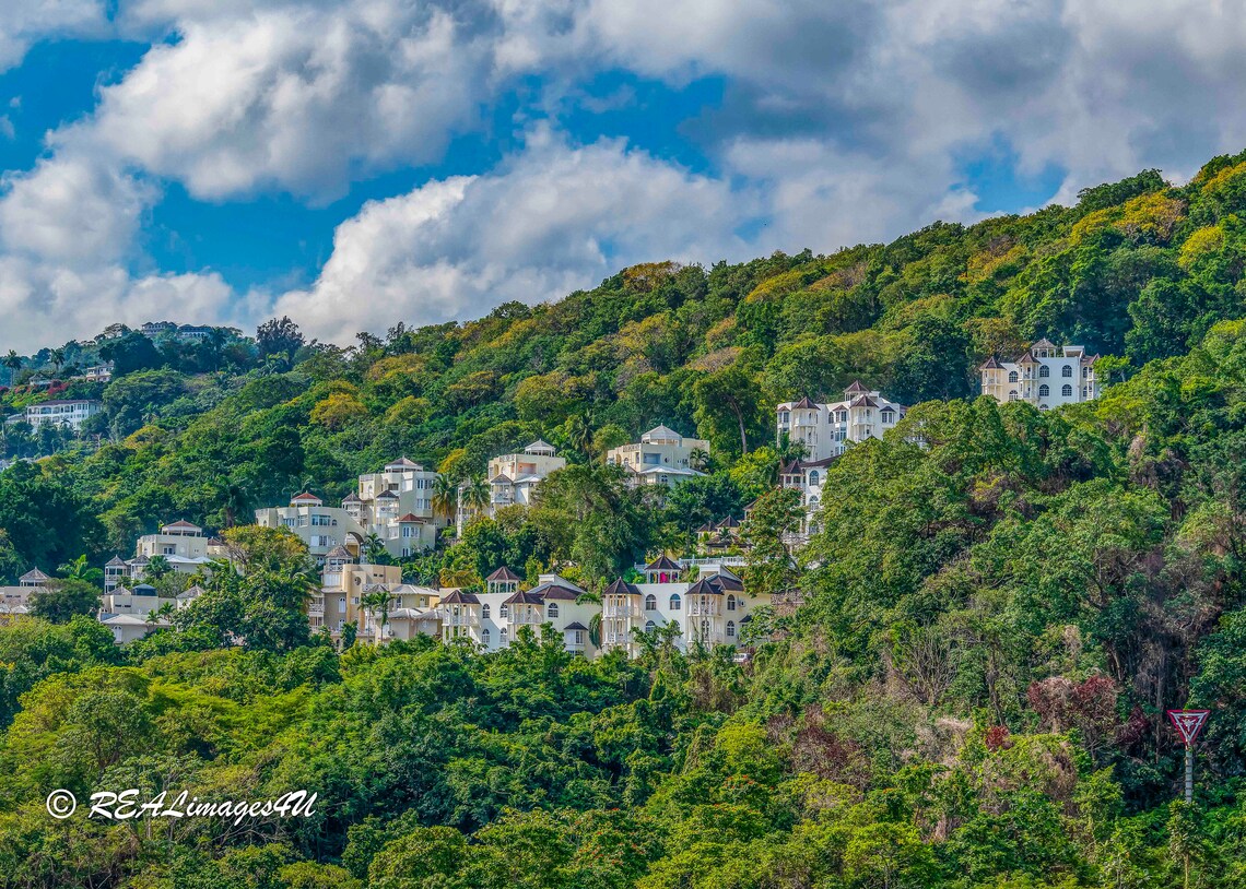 Jamaican Hillside - Etsy