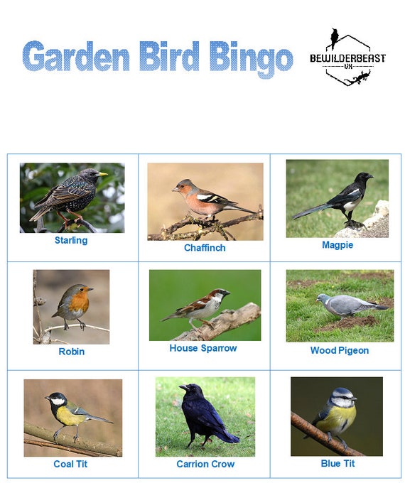 Garden Bird Bingo Game | Etsy
