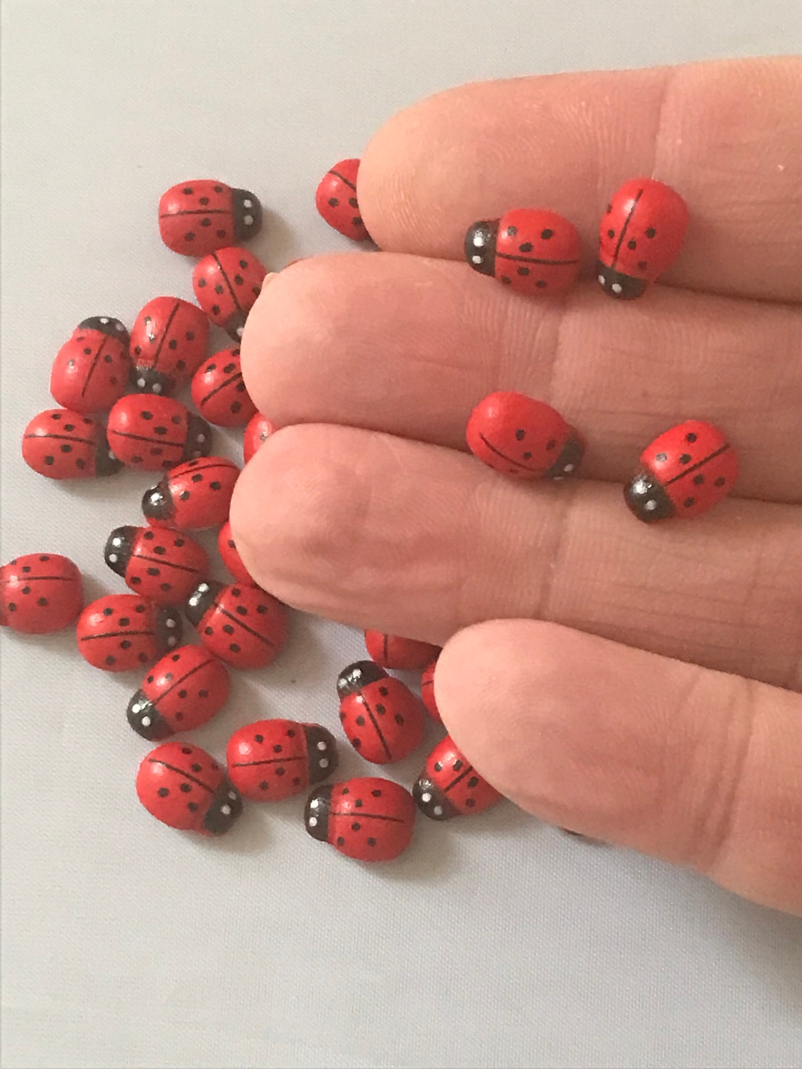 Wooden Miniature Ladybirds X 50 for Crafts Scrapbooking - Etsy UK