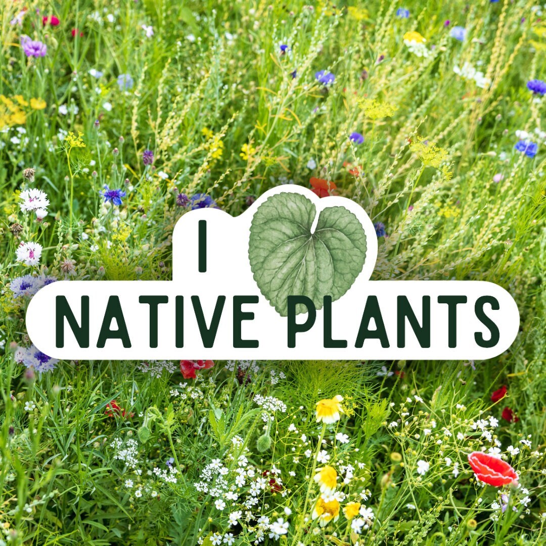 I Love Native Plants Sticker. - Etsy