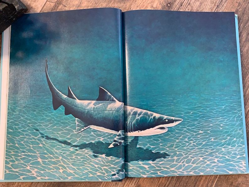 The Book of Sharks Richard Ellis: Very Scarce 1983 Book That Combines ...