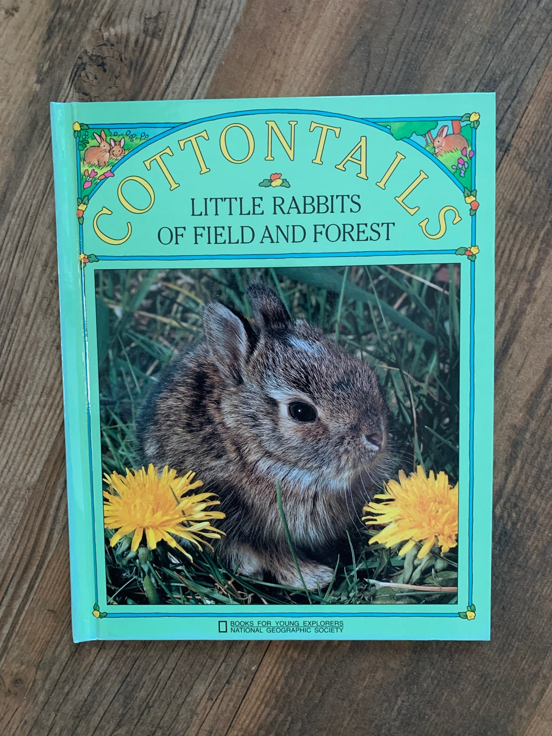 COTTONTAILS Little Rabbits of Field and Forest Like-new - Etsy