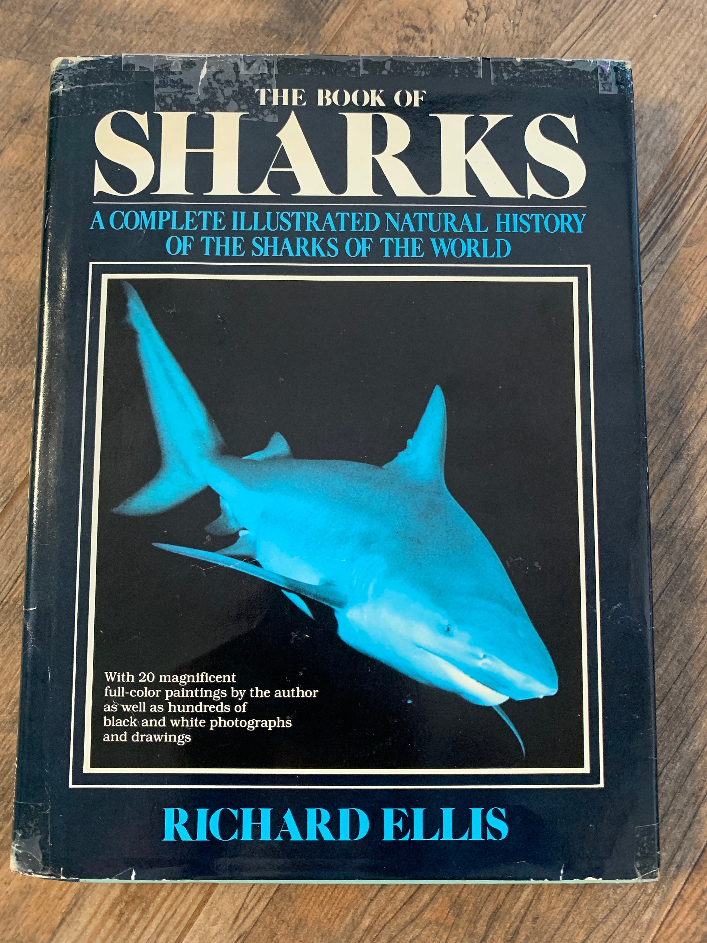 The Book of Sharks Richard Ellis: Very Scarce 1983 Book That Combines ...