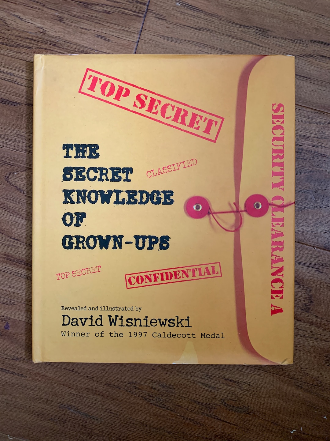 The Secret Knowledge of Grown-ups written and Illustrated by David ...
