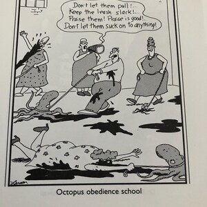 THE FAR SIDE Gallery 5 2005 Compilation of Larson's 1986-1994 Loopiness ...