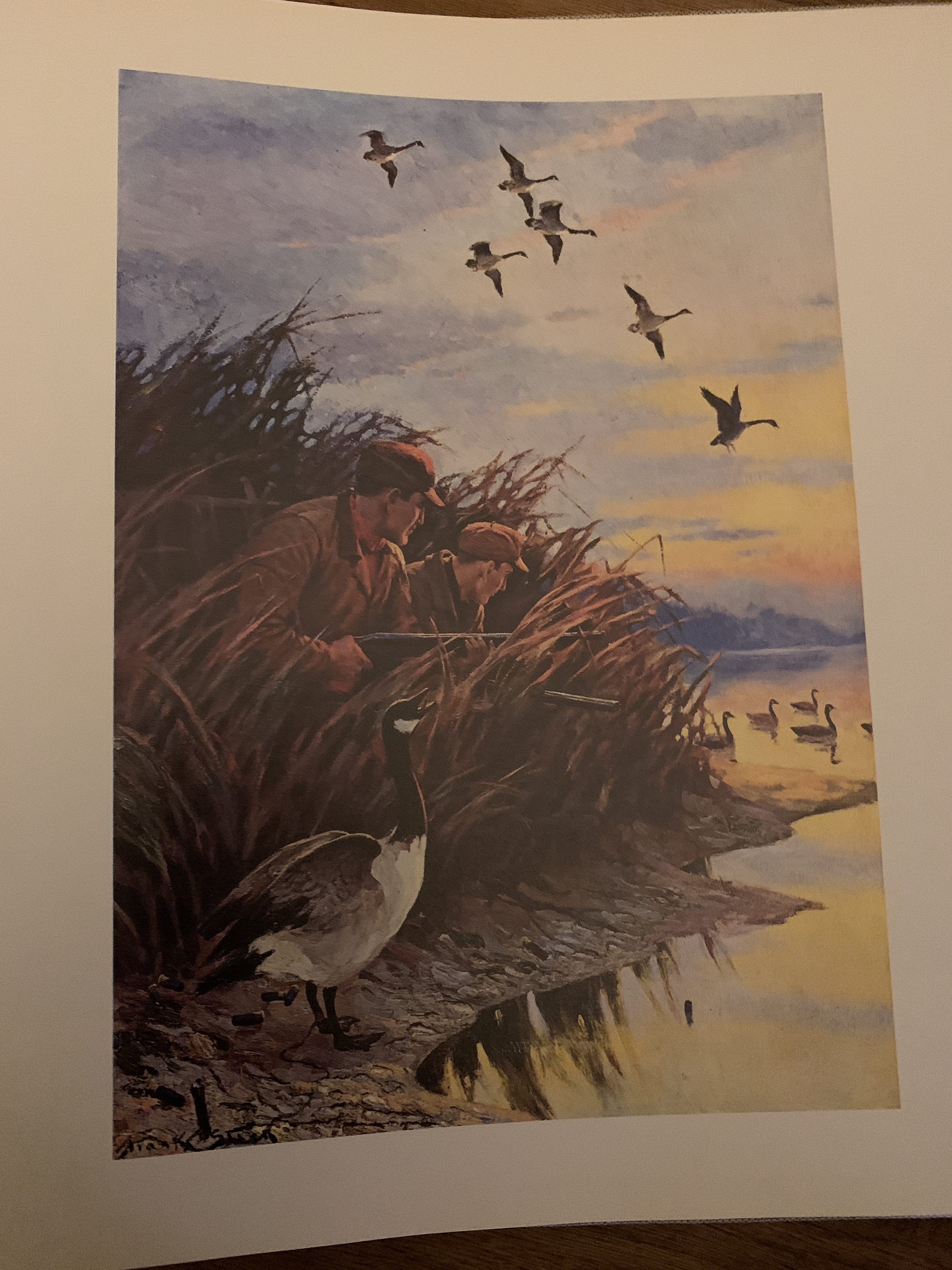 The Great American Shooting Prints Massive Classic Collection of Sport ...