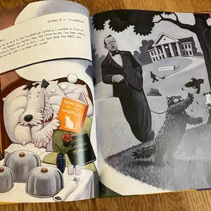 DETECTIVE LARUE Letters From the Investigation mark Teague Charming ...