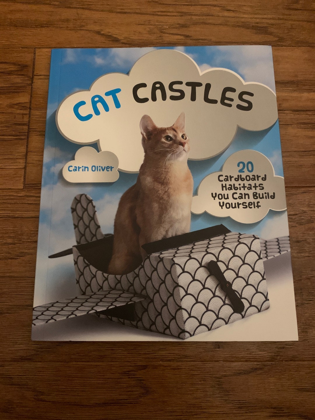 CAT CASTLES 20 Cardboard Habitats You Can Build Yourself Feline Fun ...