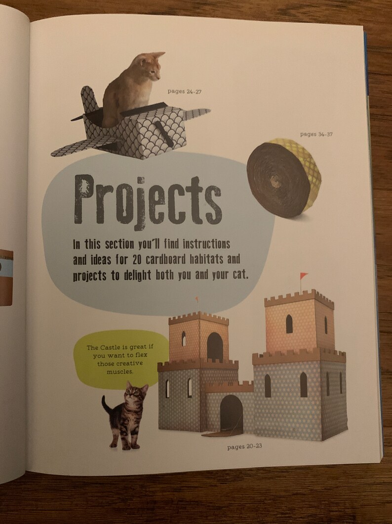 CAT CASTLES 20 Cardboard Habitats You Can Build - Etsy