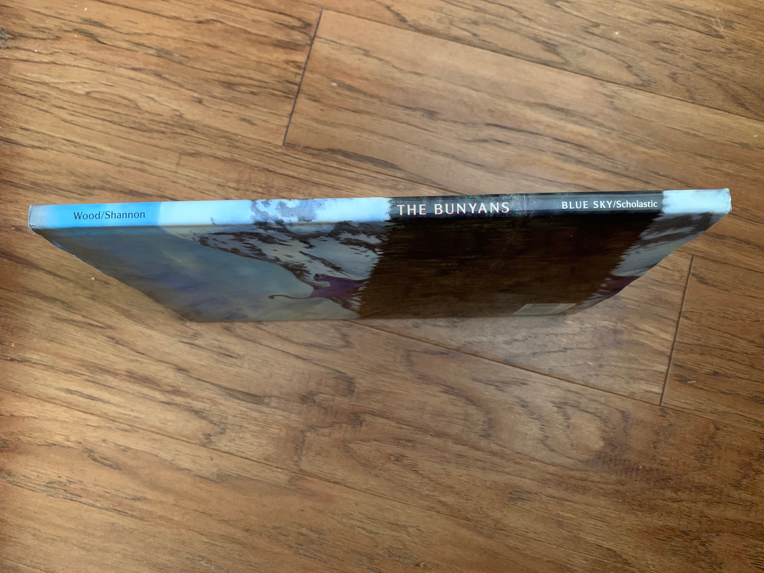 THE BUNYANS Audrey Wood, Illust. David Shannon Cute, Colorful ...