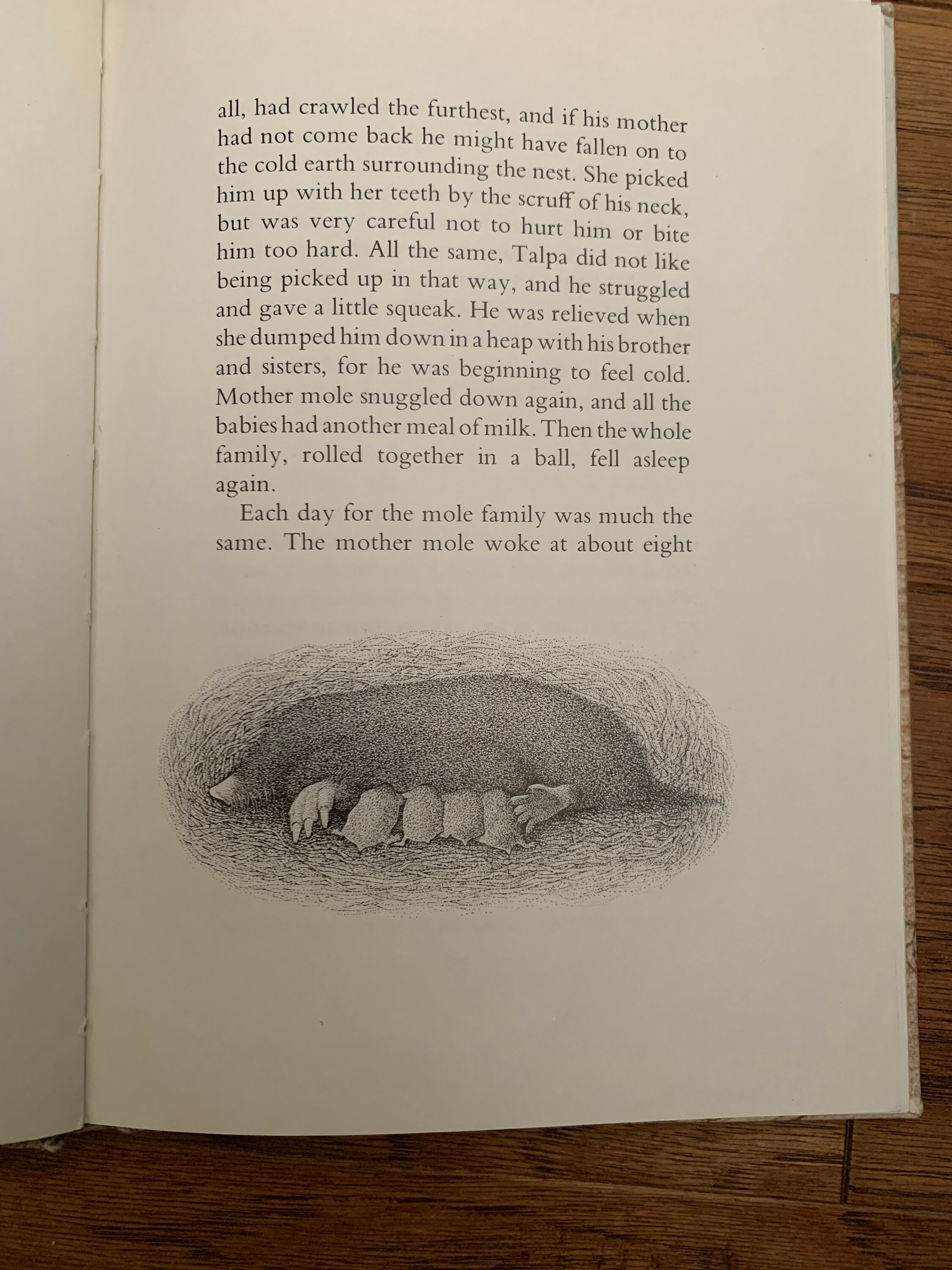 TALPA the Story of A Mole KENNETH MELLANBY illustrated by - Etsy