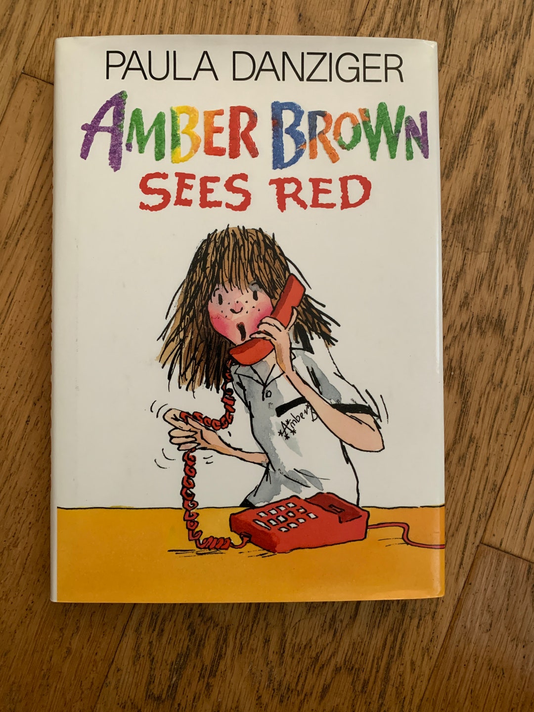 Amber Brown Sees Red PAULA DANZIGER Whimsical Illustrated Kids' Book Beautiful Condition Stated ...