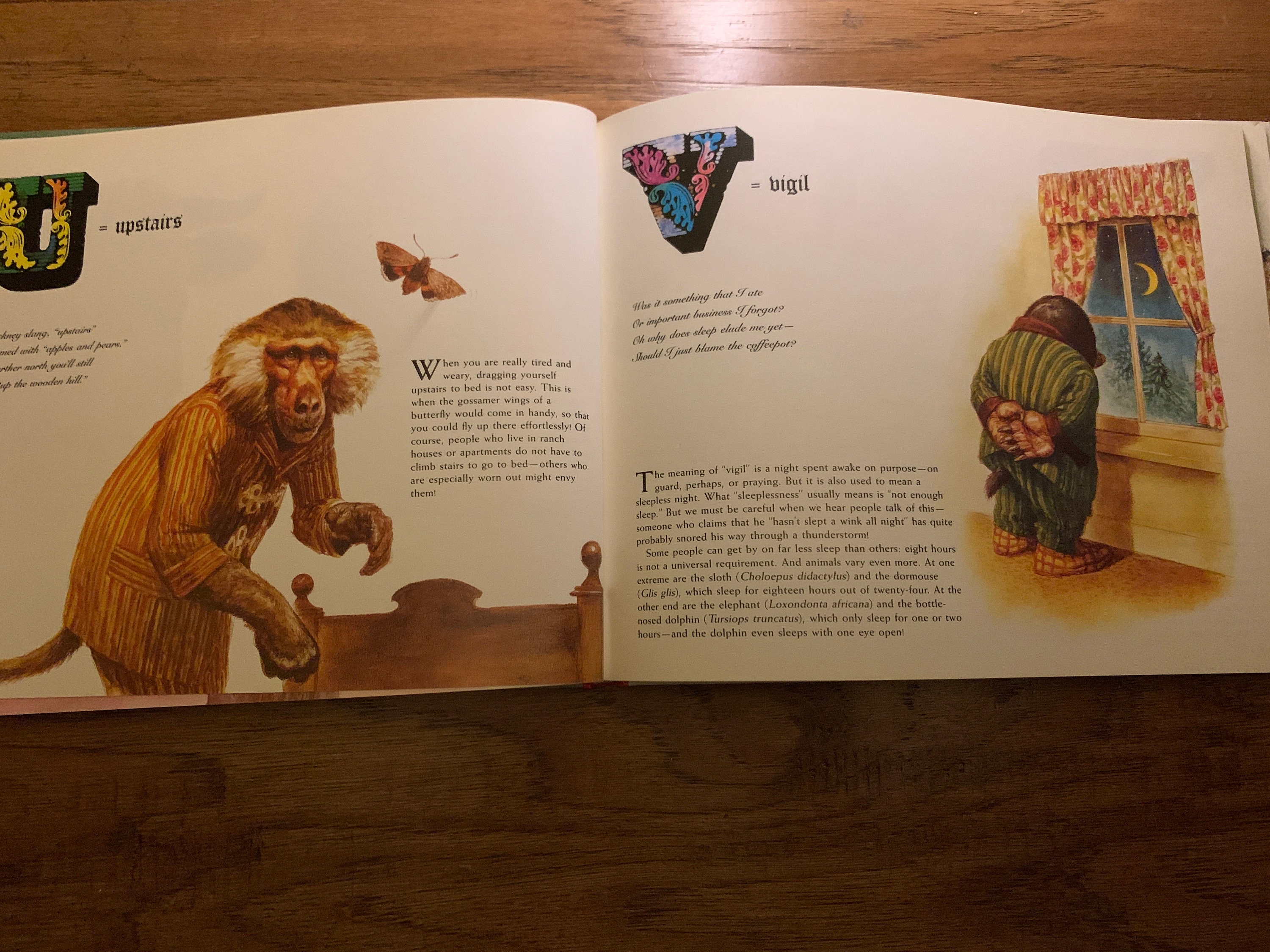 The Book of the Sandman and the Alphabet of Sleep - Etsy