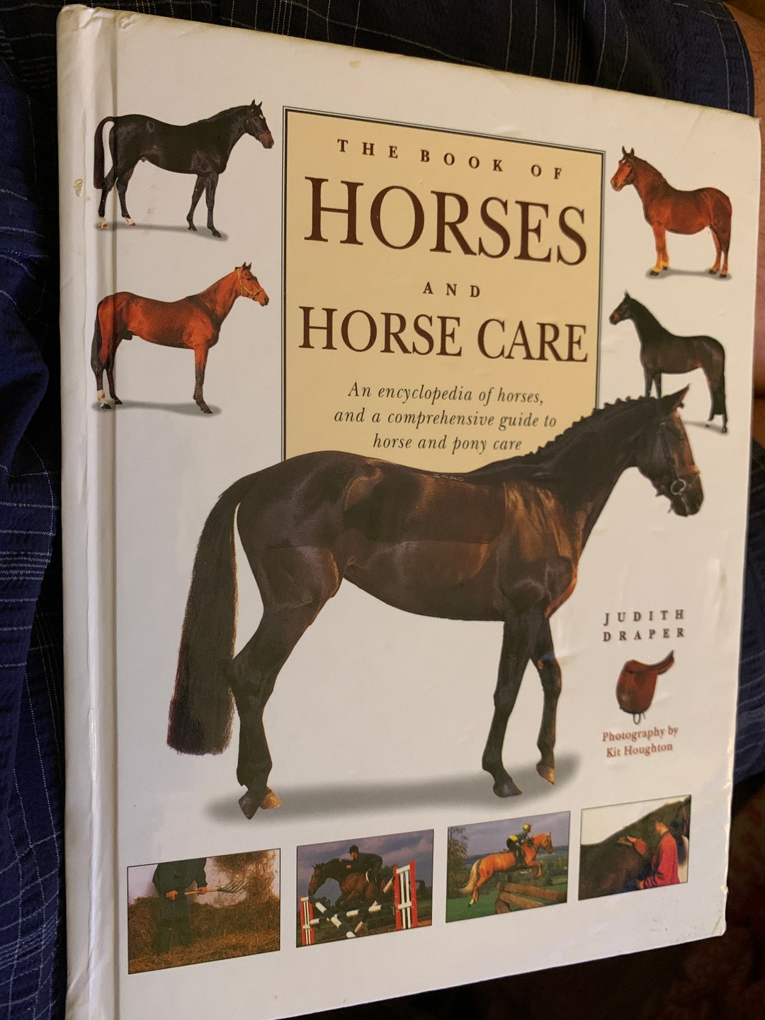 The Book of Horses and Horse Care - Etsy