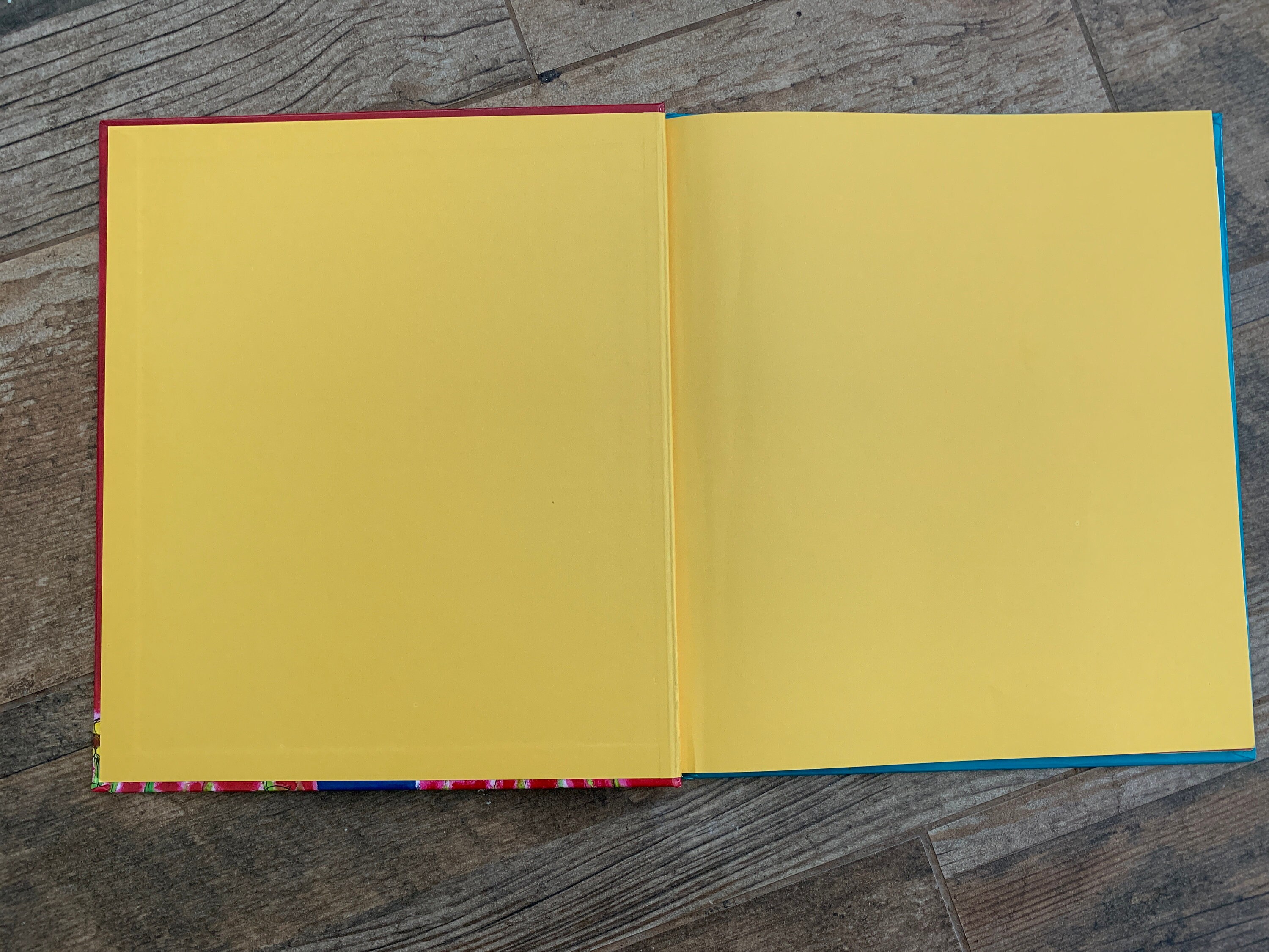 PETE THE CAT'S Groovy Guide to Love tips From A - Etsy