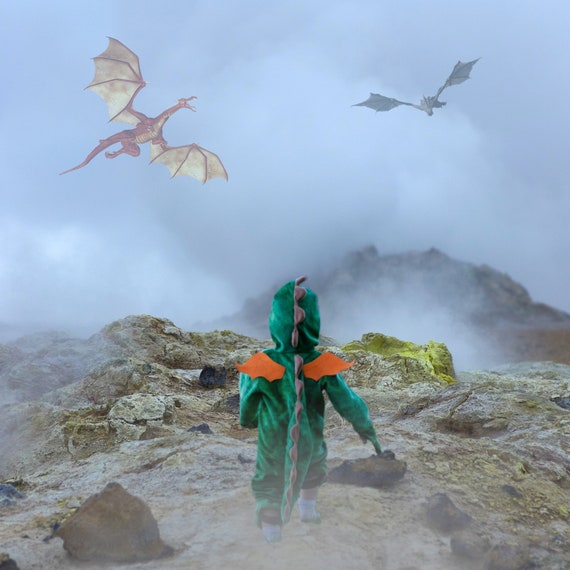 Custom Edit: Dragon Background - Etsy