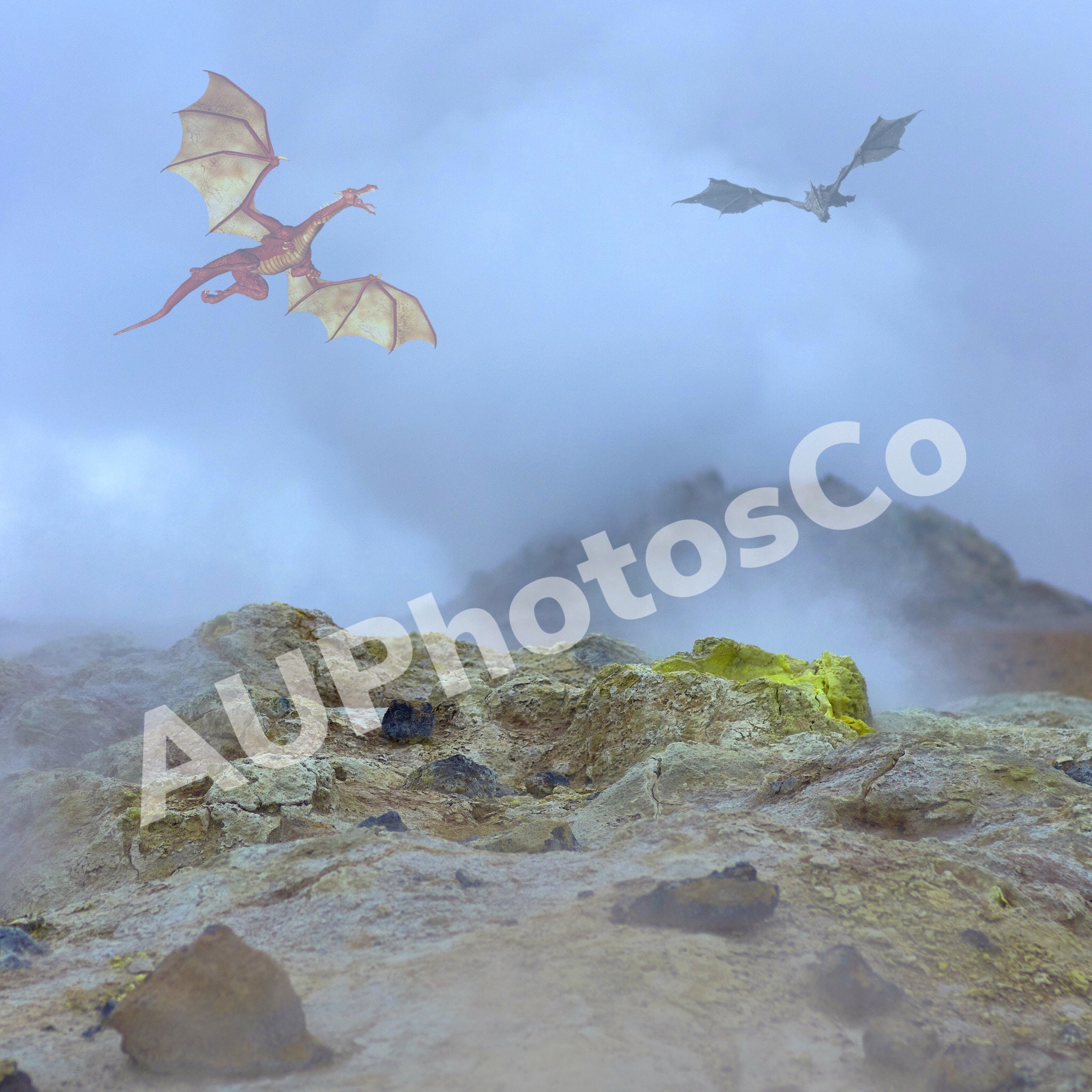 Custom Edit: Dragon Background - Etsy