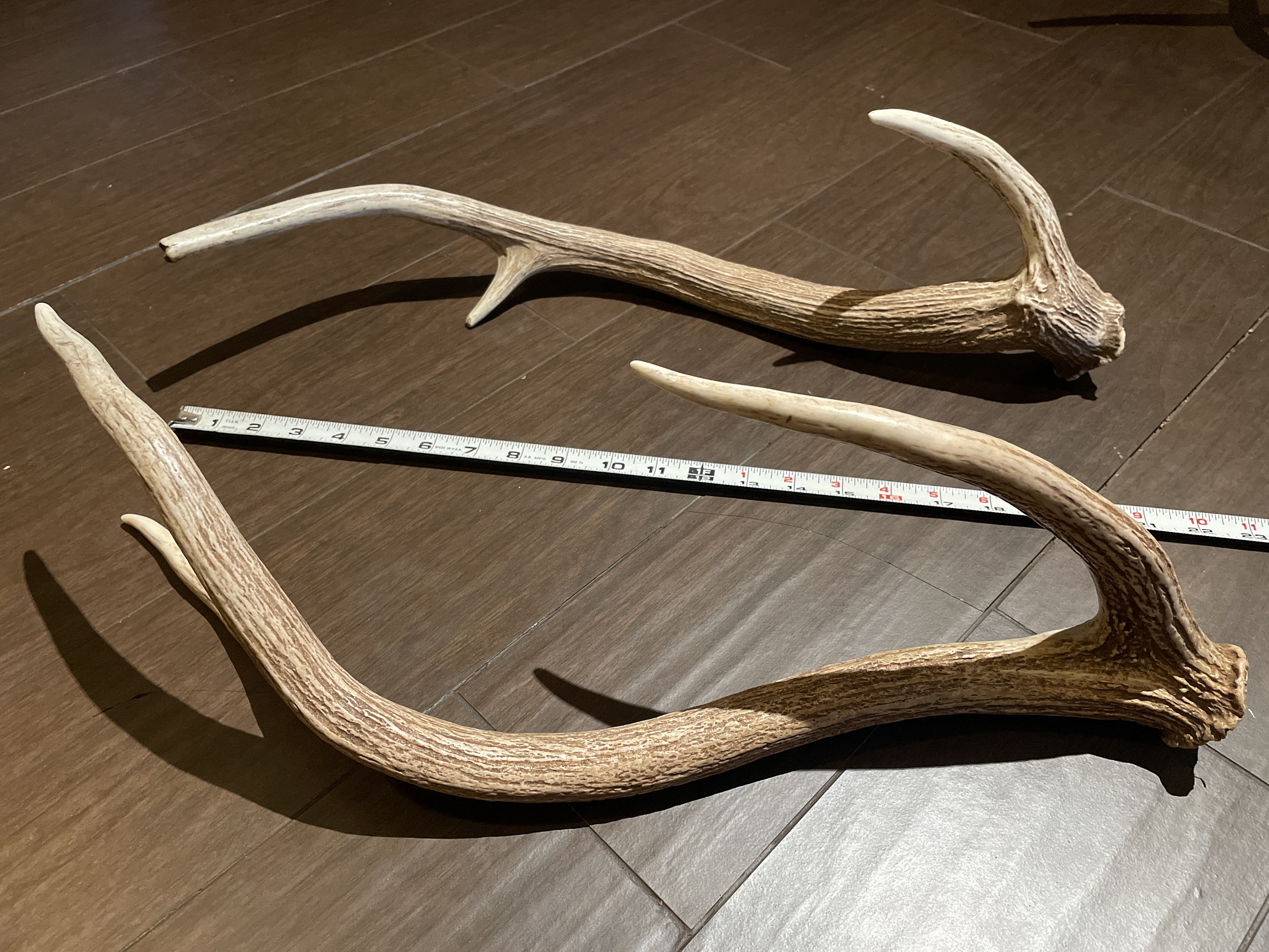 Axis Antler Shed - Etsy