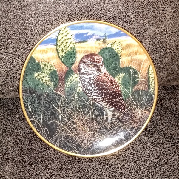 Owl Plate Collection - Etsy