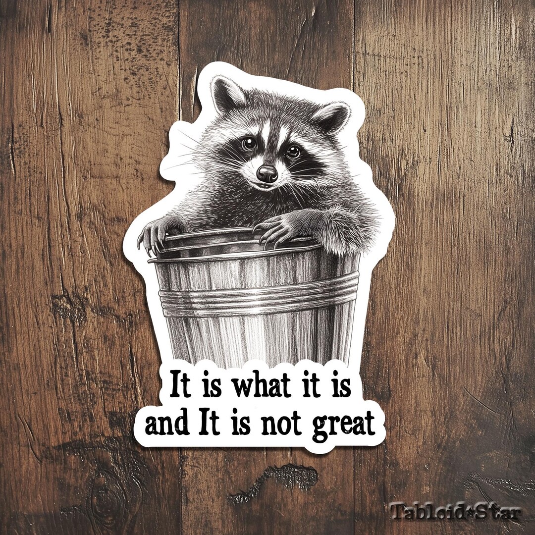 Funny Raccoon Stickers, Raccoon Meme Stickers, Vintage Stickers, Meme ...