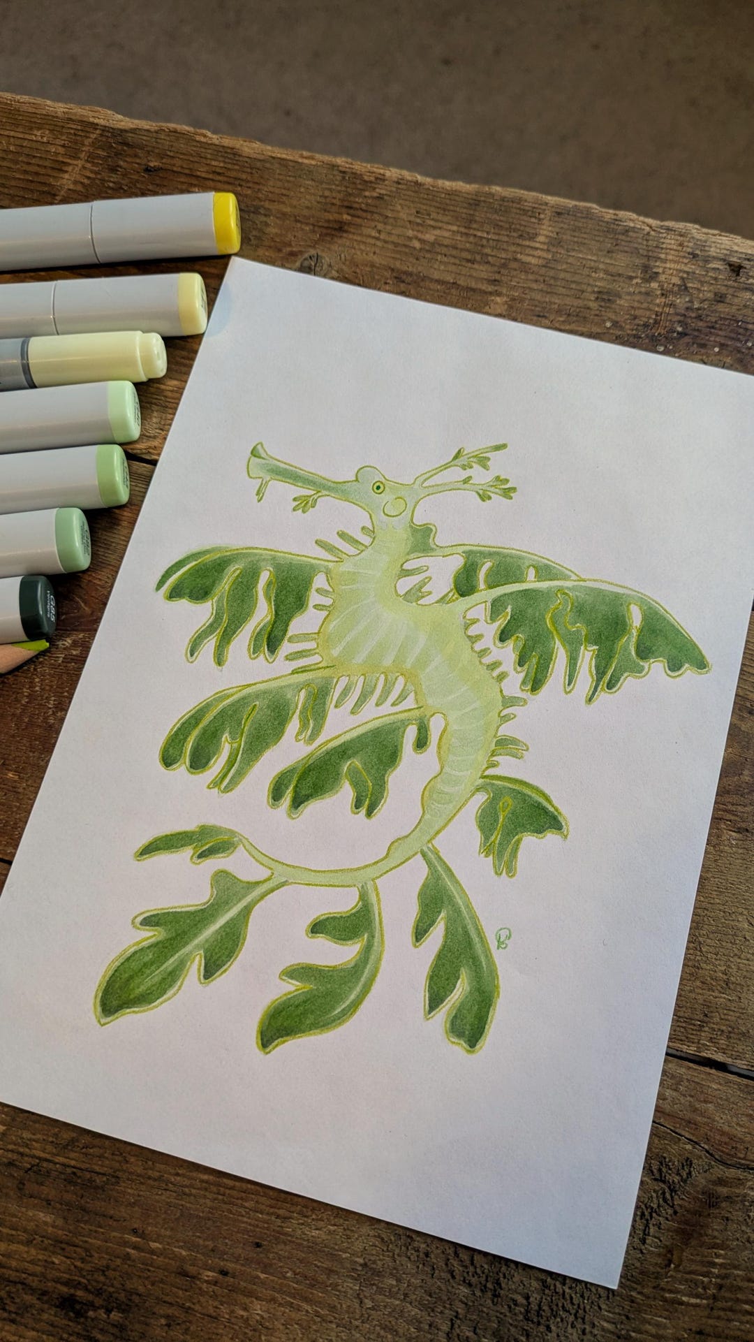 Original Leafy Sea Dragon Drawing - Etsy