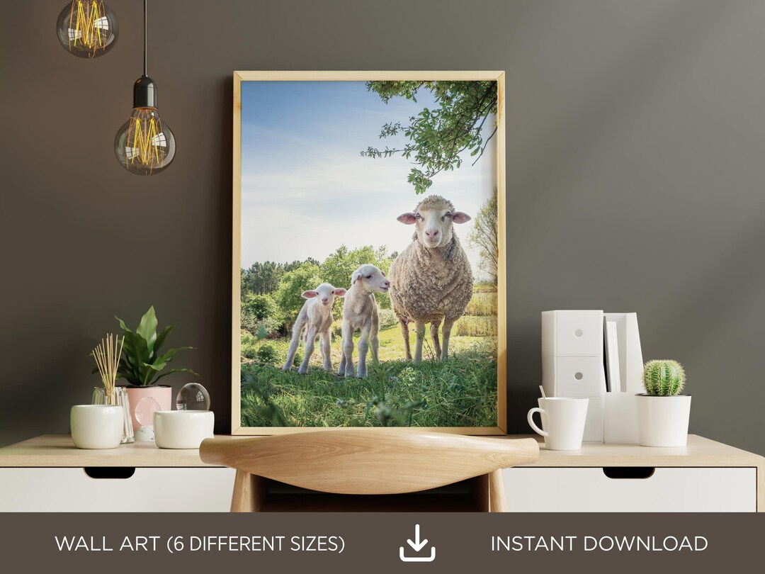 Sheep Photo Print: Farmhouse Animal Wall Art (digital Download) - Etsy