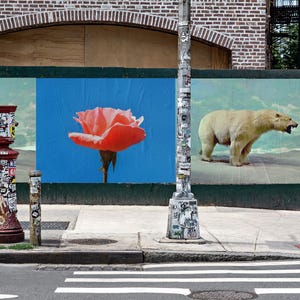 Wild Postings, Urban Posters, Street Ads, Mockup Template, Editable ...