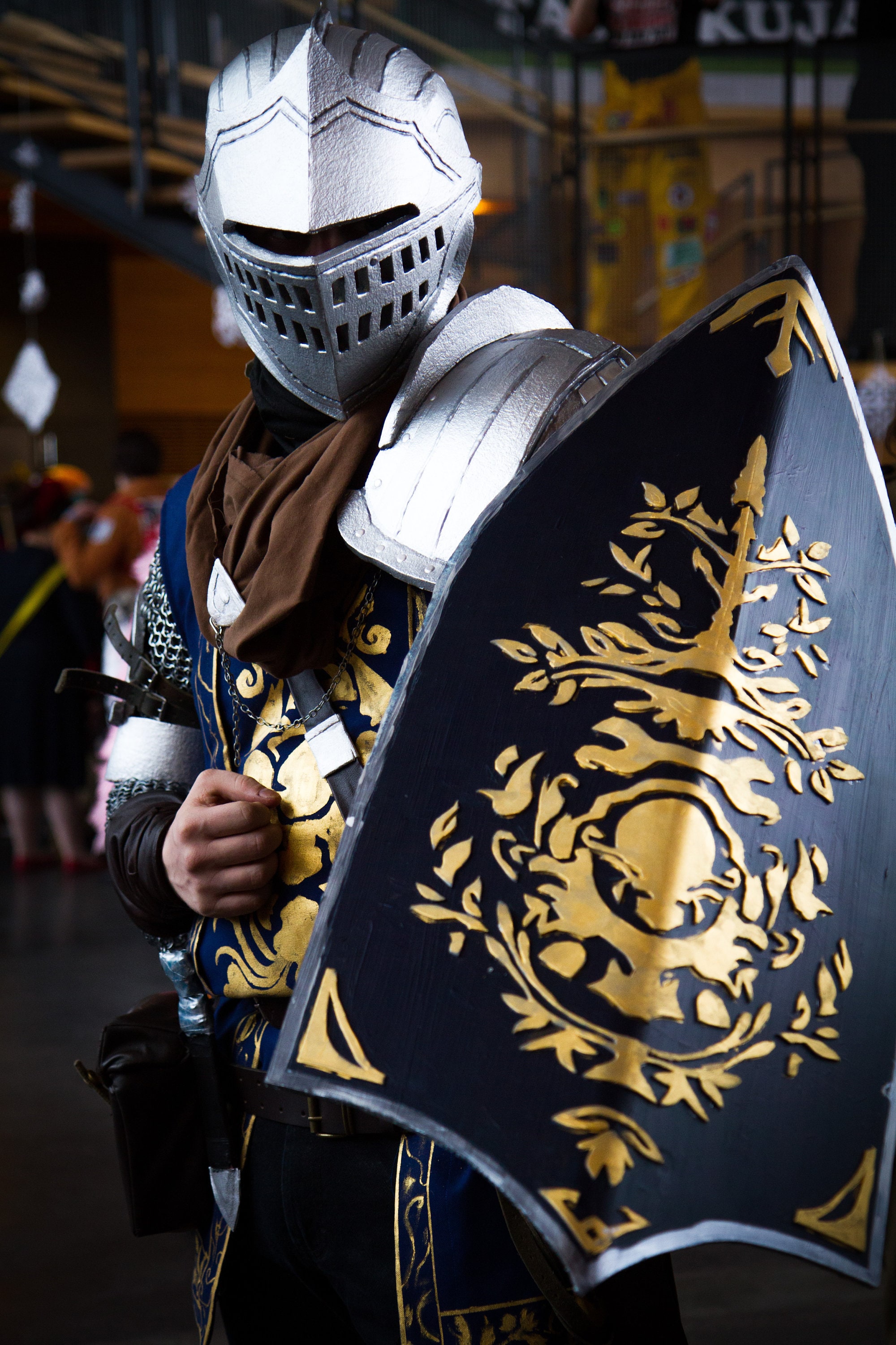 Dark Souls Cosplay Elite Knight