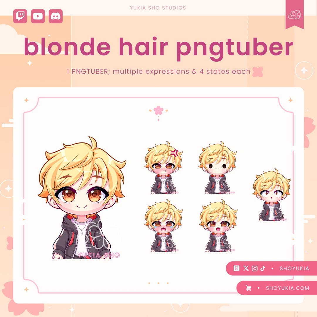 Male Chibi Pngtuber Avatar | Cute Streamer Model for Twitch, Youtube ...