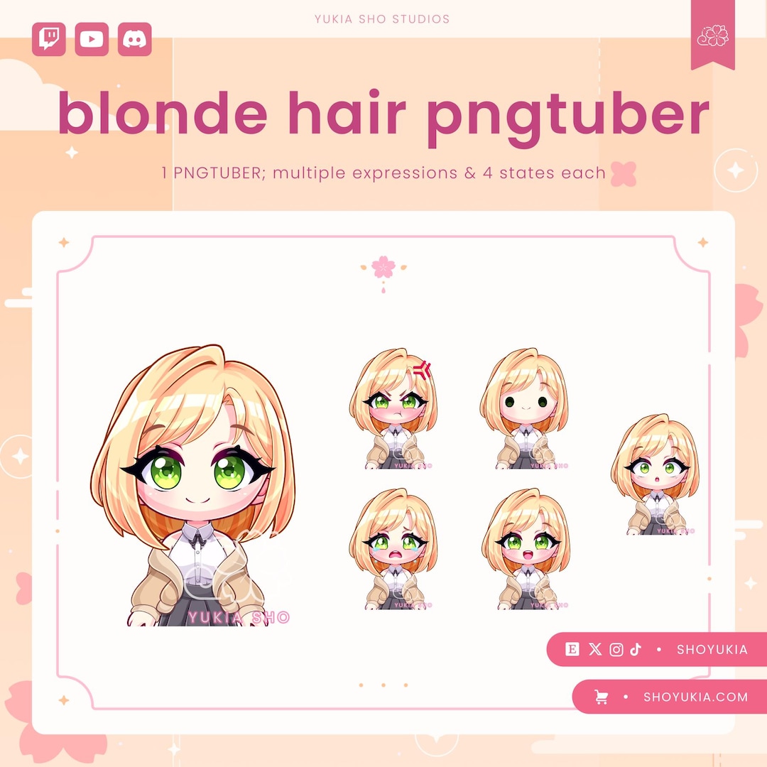 Female Chibi Pngtuber Avatar | Streamer Model for Twitch, Youtube ...