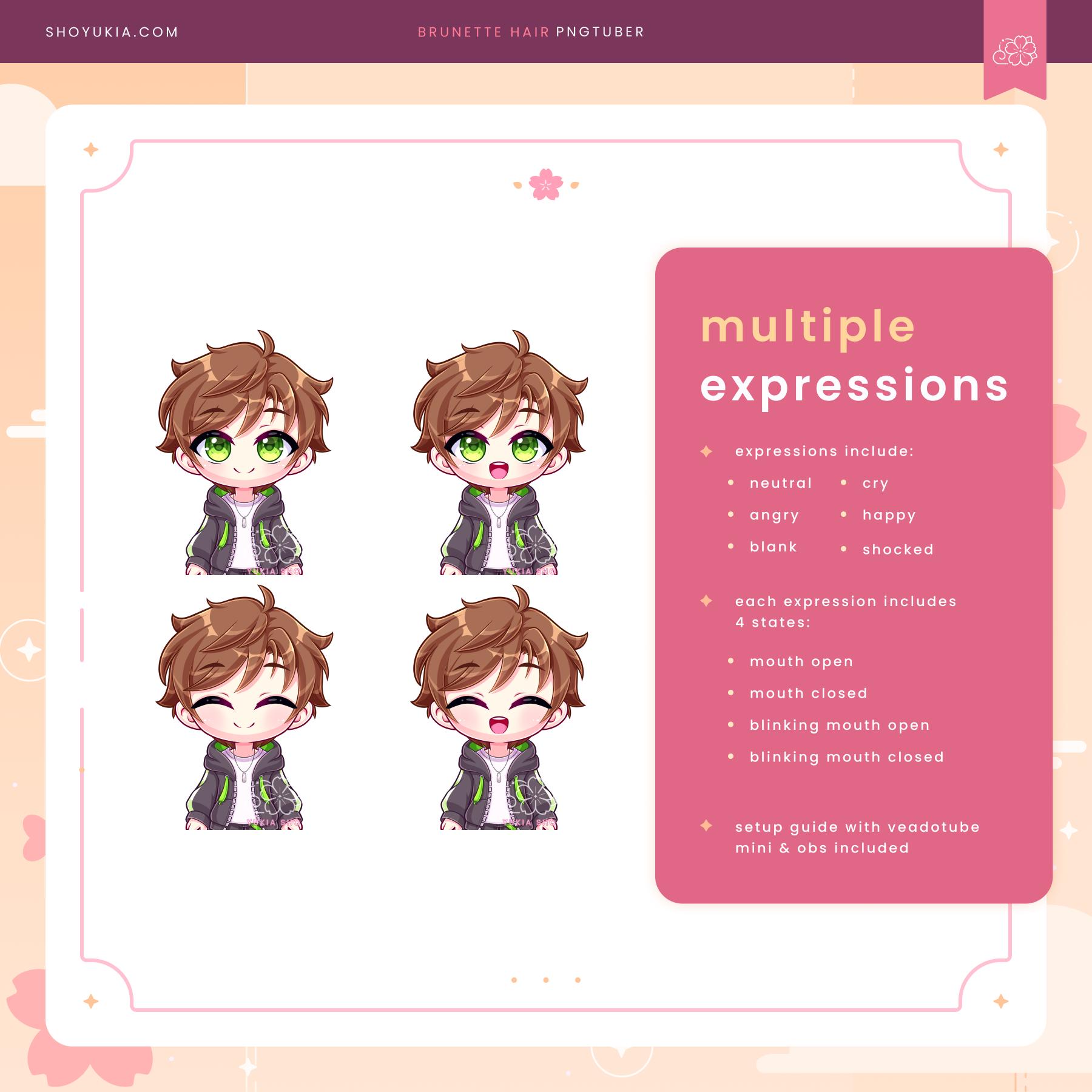 Male Chibi Pngtuber Avatar | Vtuber Streamer Model for Twitch, Youtube ...