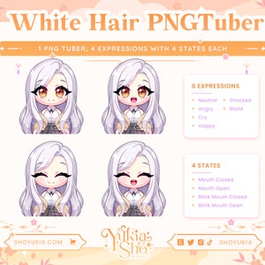 Chibi Pngtuber Model Vtuber Model Pngtuber Twitch Vtuber Assets ...