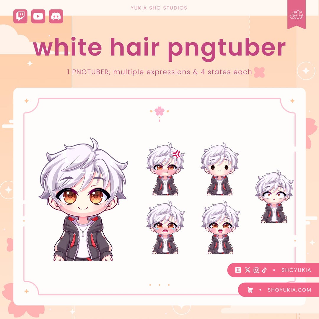 Male Chibi Pngtuber Avatar | Streamer Model for Twitch, Youtube ...