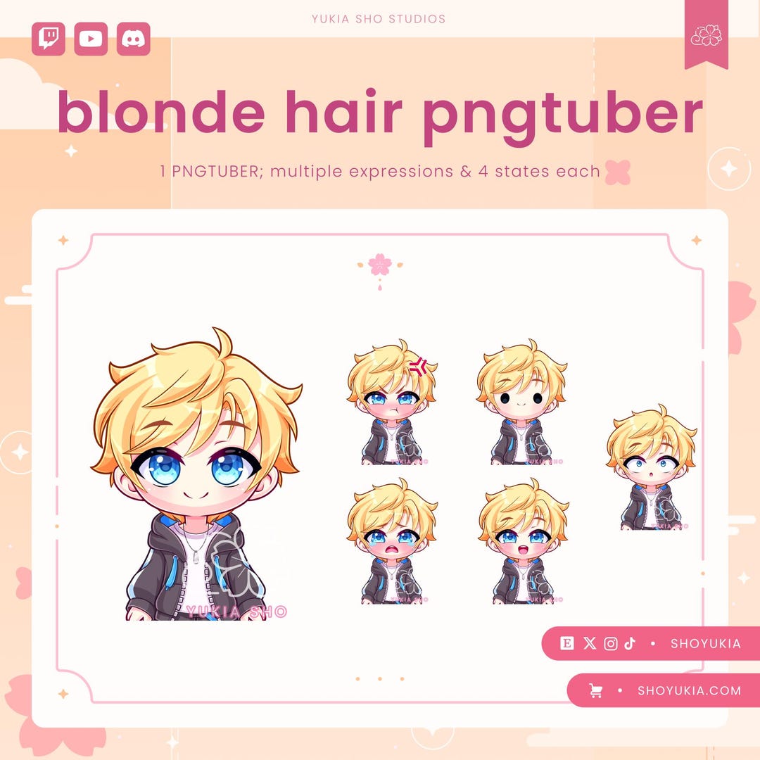 Male Chibi Pngtuber Avatar | Vtuber Streamer Model for Twitch, Youtube ...